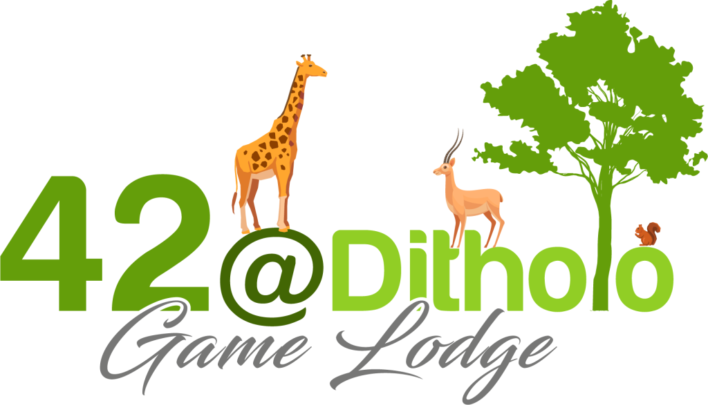 42@Ditholo Game Lodge – Game Lodge in Bela Bela
